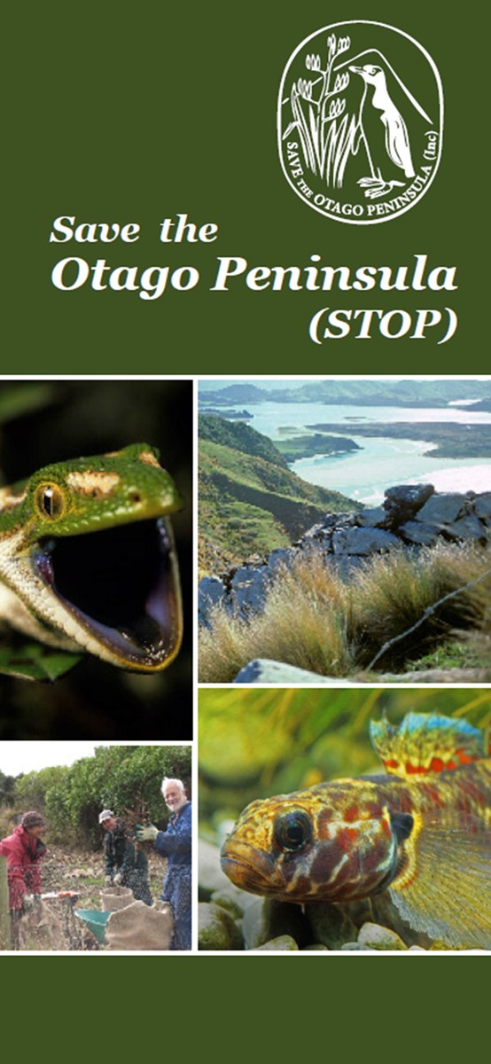 Brochure – Portobello Community